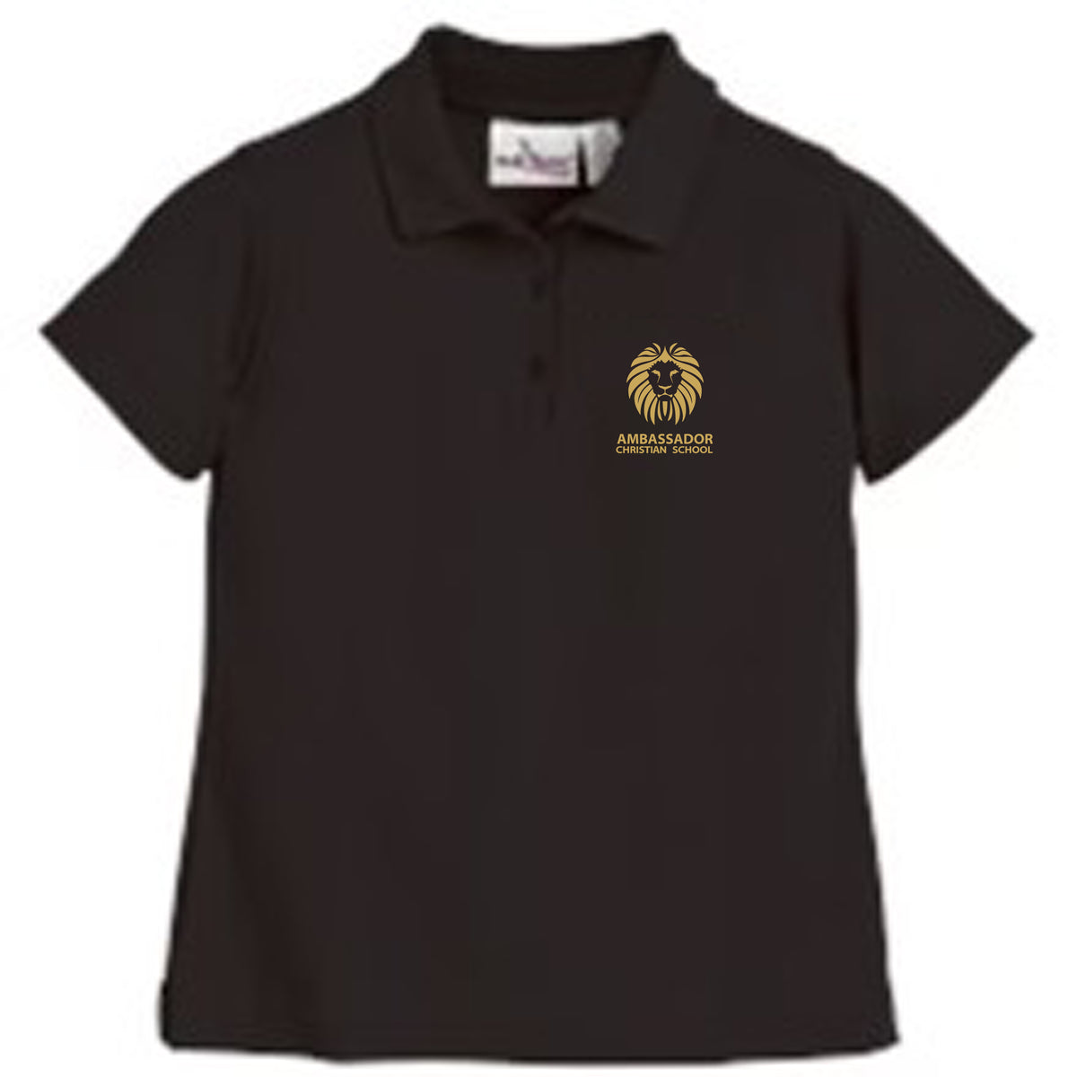 Women's Fitted Dri-Fit Polo w/ Ambassador Christian School Embroidered ...